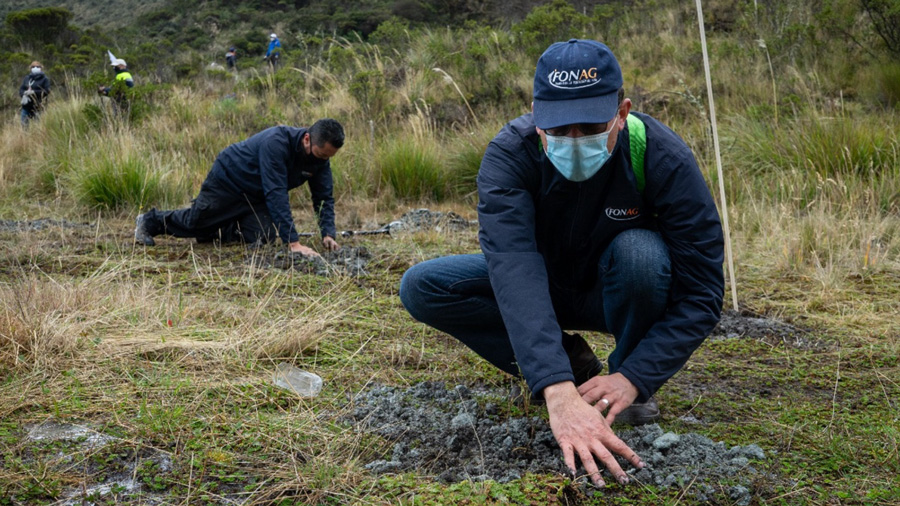 FONAG: un referente en la restauración ecológica de ecosistemas fuentes ...