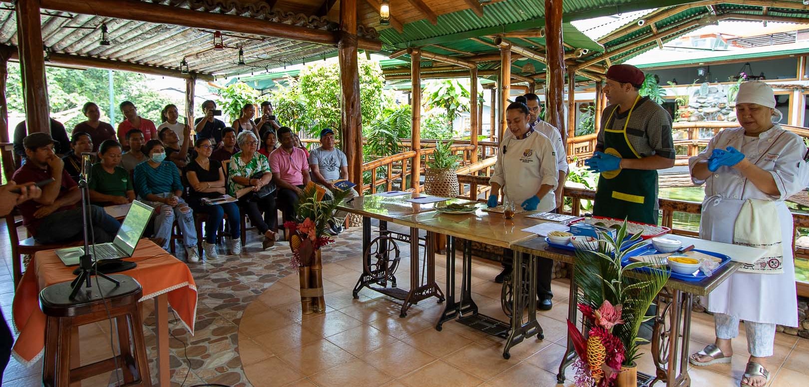 La Guayusa: El Nuevo Tesoro Verde de la Amazonía Ecuatoriana - Pago Por ...